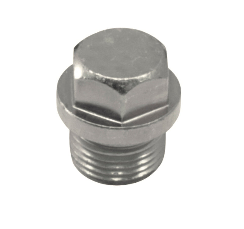 AEM O2 Sensor Bung Plug Kit – Nice Time Racing